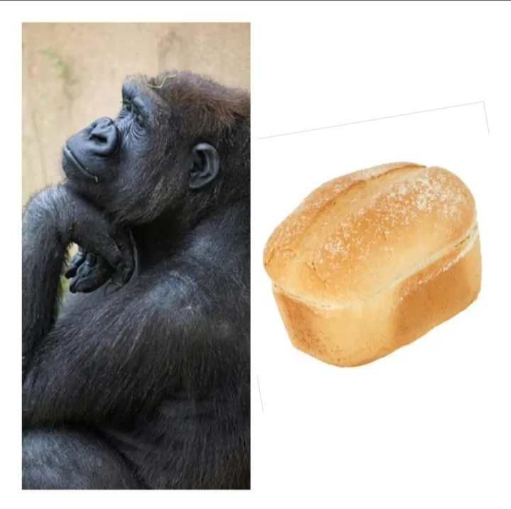 Unleashing the Gorilla and baking the LOAF - DVC Consultants